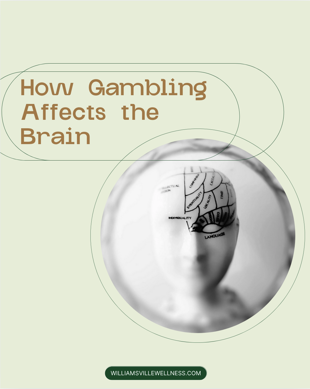 How Gambling Affects the Brain